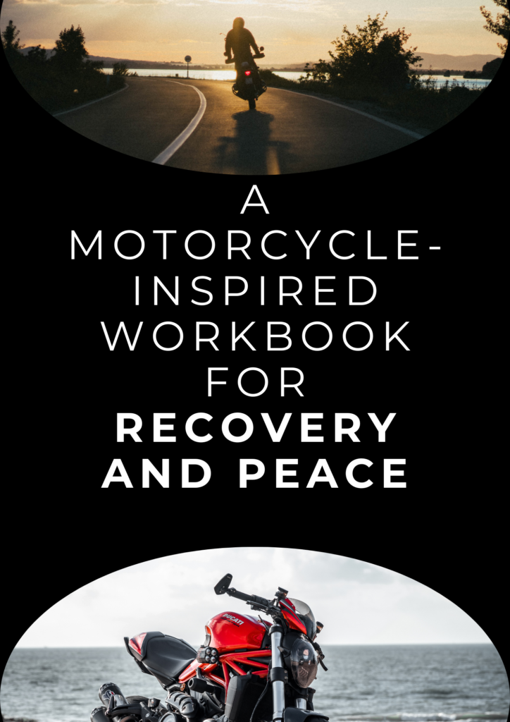 Workbook for Recovery and Peace - SMIDSY
